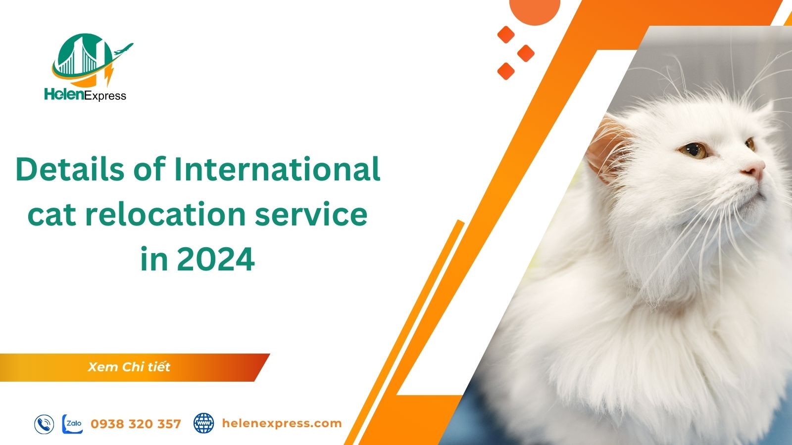 Details of International cat relocation service in 2024